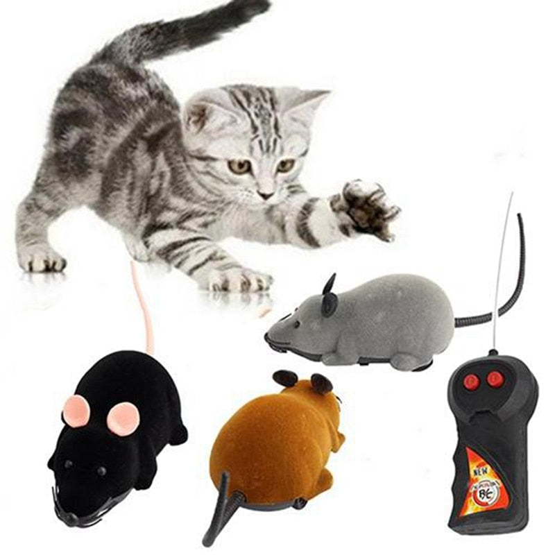 Remote Control Mouse Toy – EssentialViva